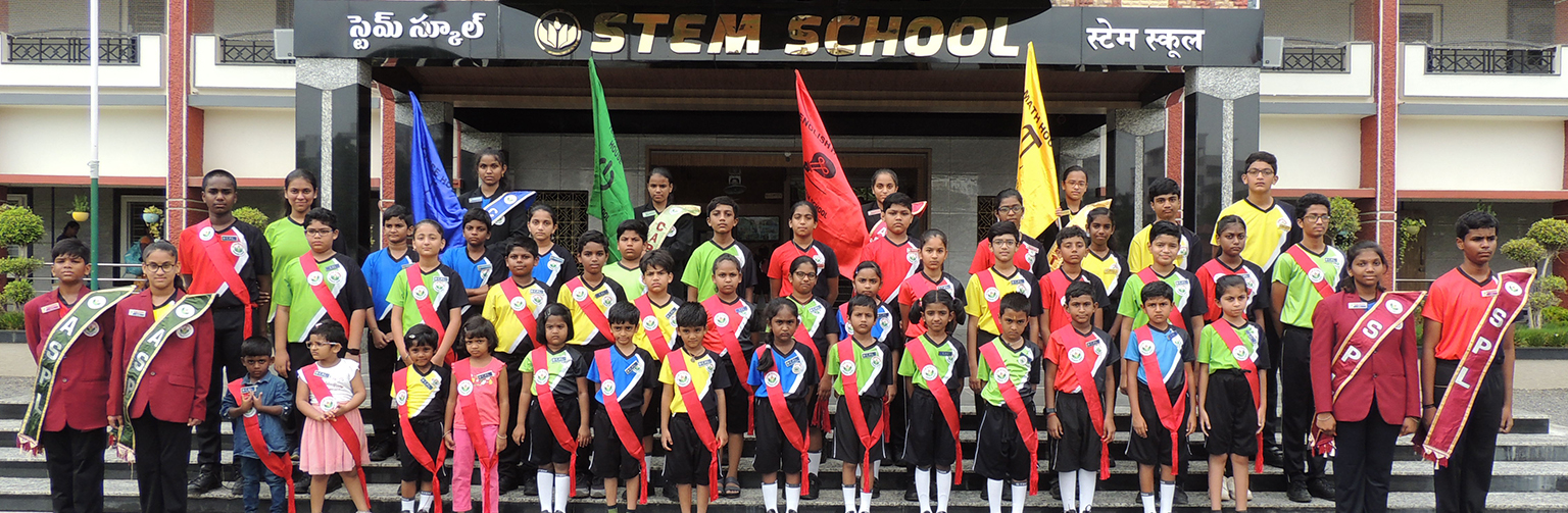 Stem School